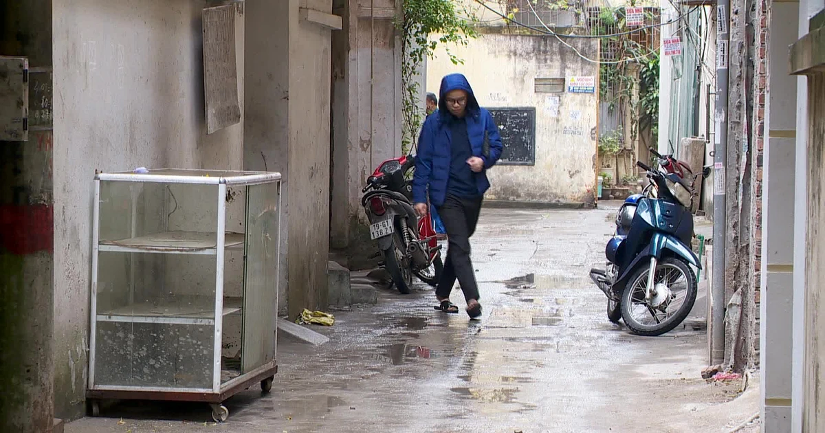 Từ nay đến Tết Nguyên đán 2026 còn bao nhiêu đợt không khí lạnh?