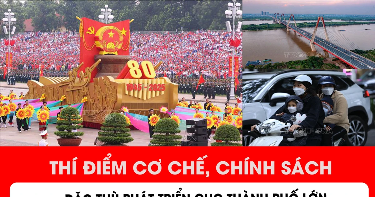 Thí điểm cơ chế, chính sách đặc thù phát triển 3 thành phố lớn